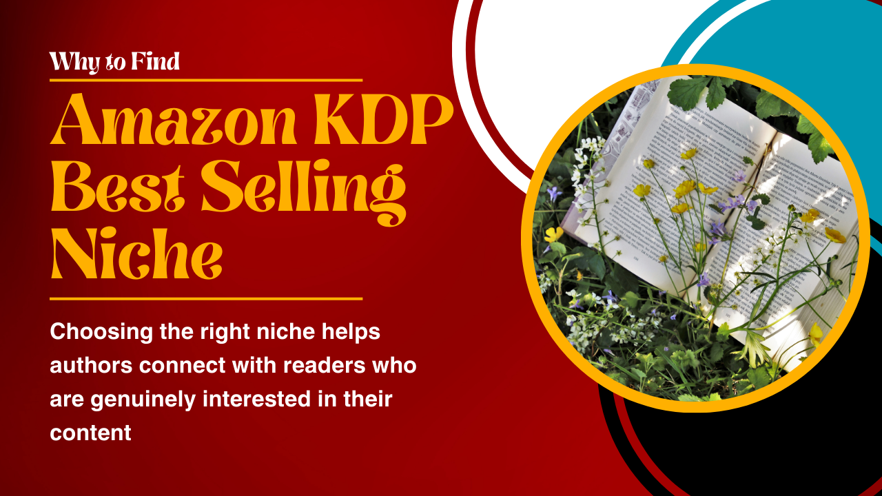 Amazon KDP Best Selling Niche : A Comprehensive Guide To Success - Hira ...